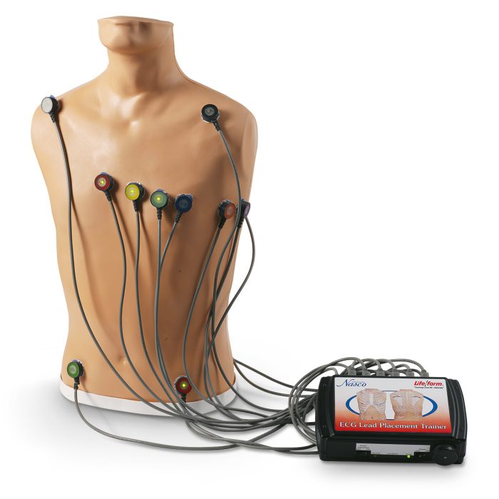 ECG Placement Trainer 15-Lead - Modiezham Sdn Bhd