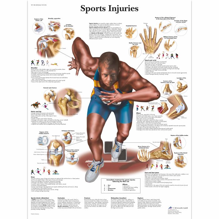 Sports Injuries Chart - Modiezham Sdn Bhd